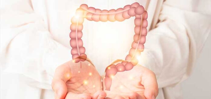 Hemorroides | Qué son, causas, síntomas y tratamientos