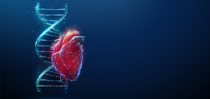 5 Recomendaciones Para Prevenir Enfermedades Cardiovasculares