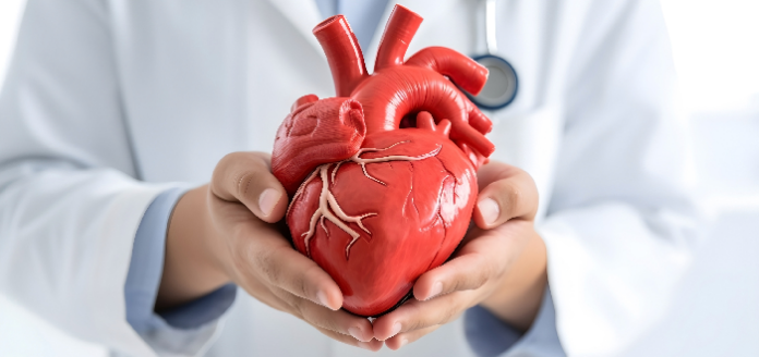 5 Recomendaciones Para Prevenir Enfermedades Cardiovasculares